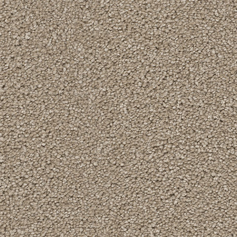 Dream Weaver Carpet Cape Cod Cashew - Discount Pricing | TrueHardwoods.com