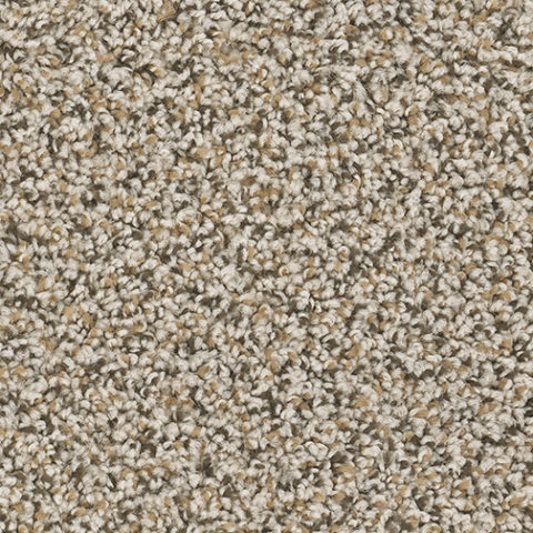 Dream Weaver Carpet Cherry Creek Gingerbread - Discount Pricing ...