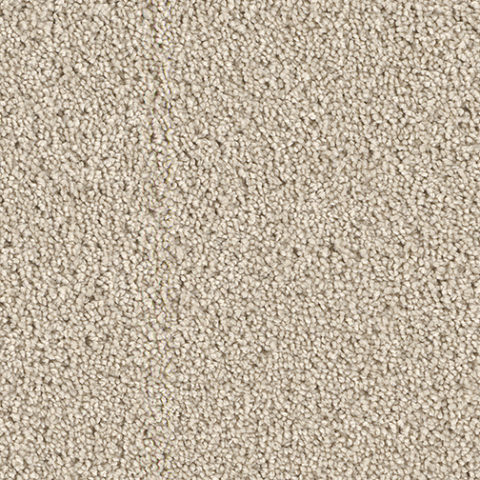 Dream Weaver Carpet Cape Cod Ivory - Discount Pricing | TrueHardwoods.com