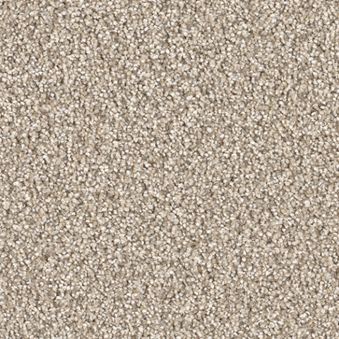 Dream Weaver Carpet Cape Cod Oxford - Discount Pricing | TrueHardwoods.com