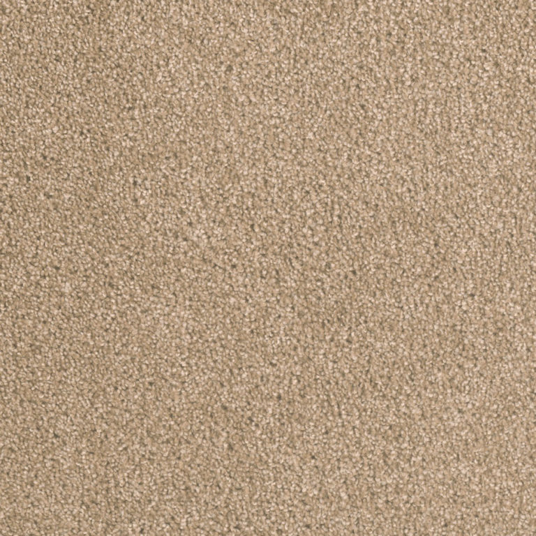Dream Weaver Carpet Big Time Sawgrass - Discount Pricing ...