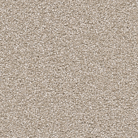 Dream Weaver Carpet East Hampton Sawgrass - Discount Pricing ...