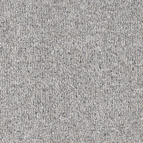 Dream Weaver Carpet Easy Living I Twinkle - Discount Pricing ...